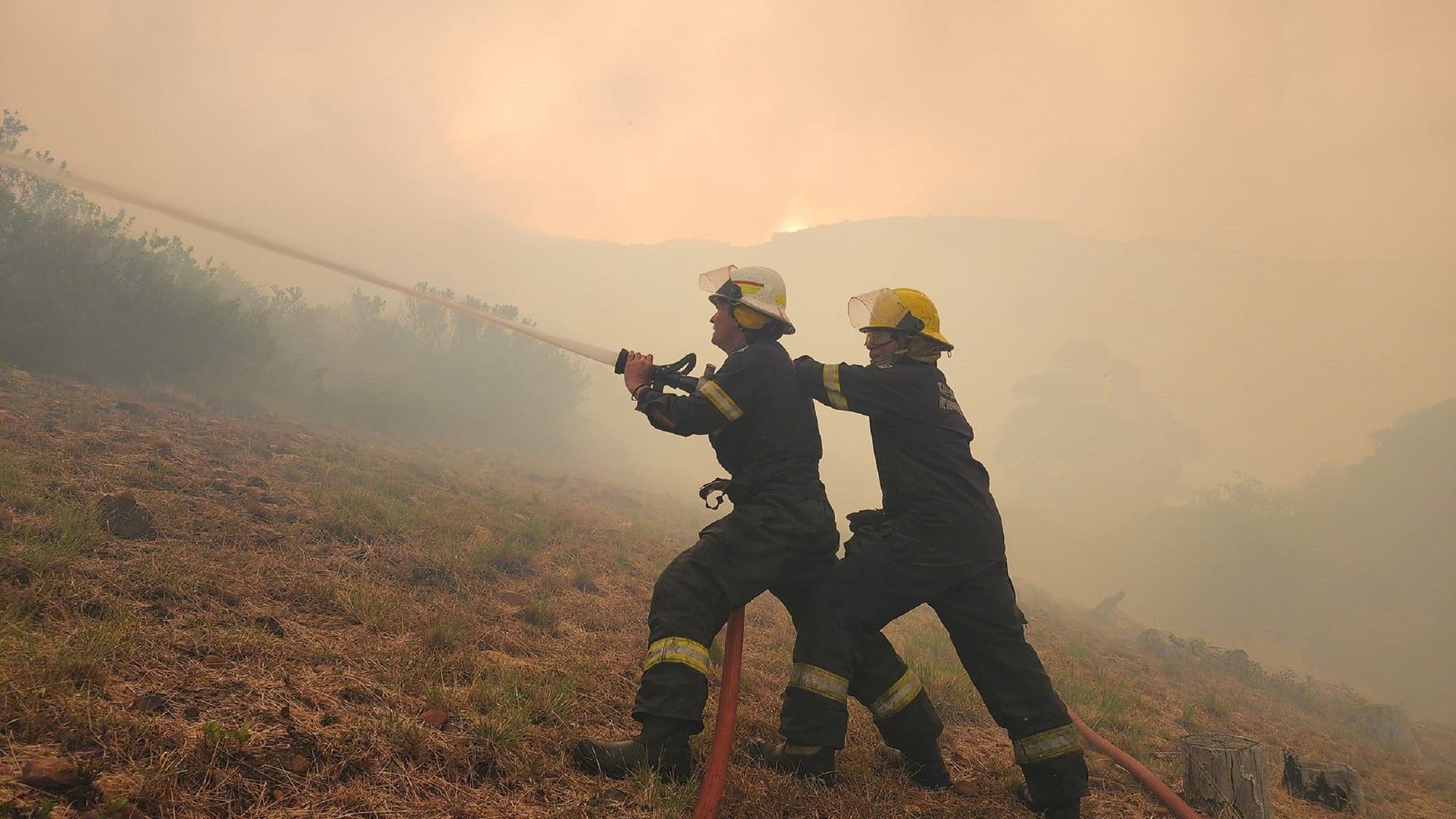 City bolsters fire prevention strategy as vegetation fires surge