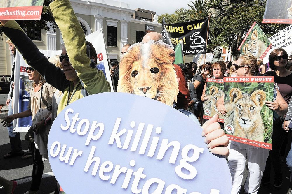 Canned lion hunting damaging Brand SA