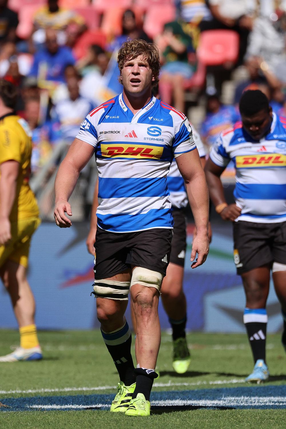 Evan Roos stays put as Stormers tie down Springbok No 8 for two more years