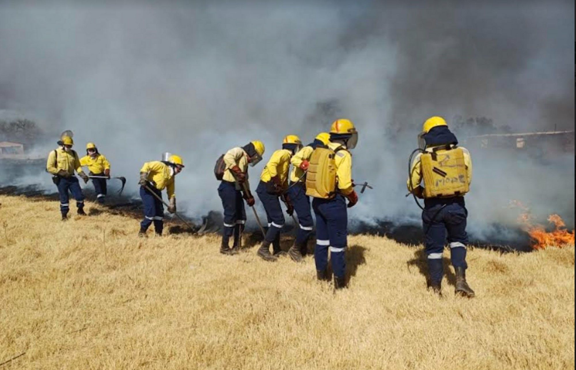 Heat wave: Over 3,000 firefighters on standby for elevated fire risks ...