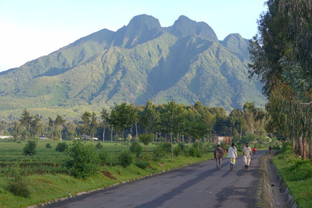 Rwanda: Things you need to know before you go