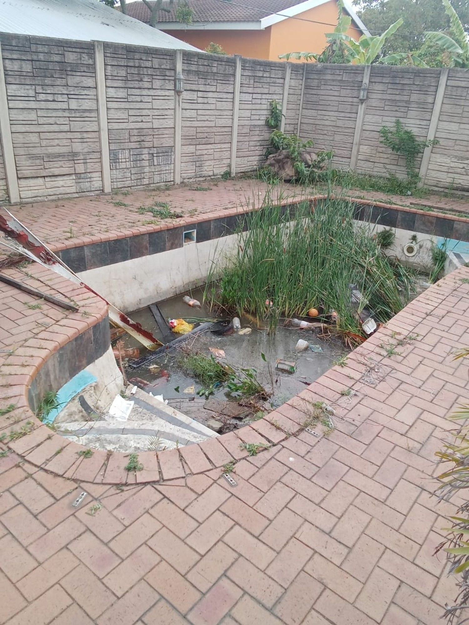 Durban homeowner found dead in his unused swimming pool, police probe ...