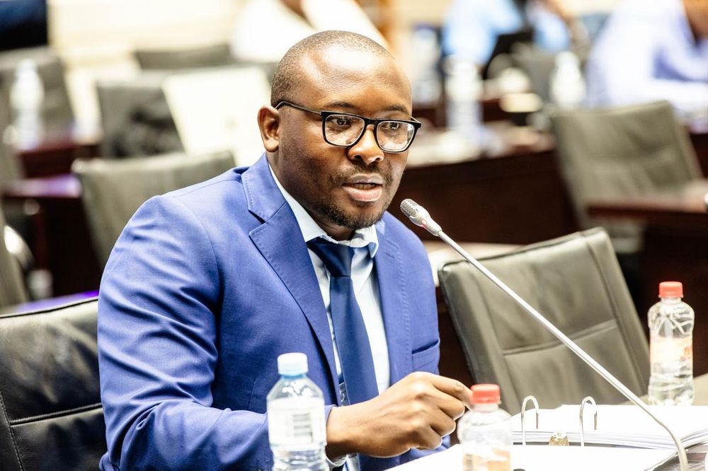 IFP MP criticises witnesses for using Ad Hoc Committee to clear their names