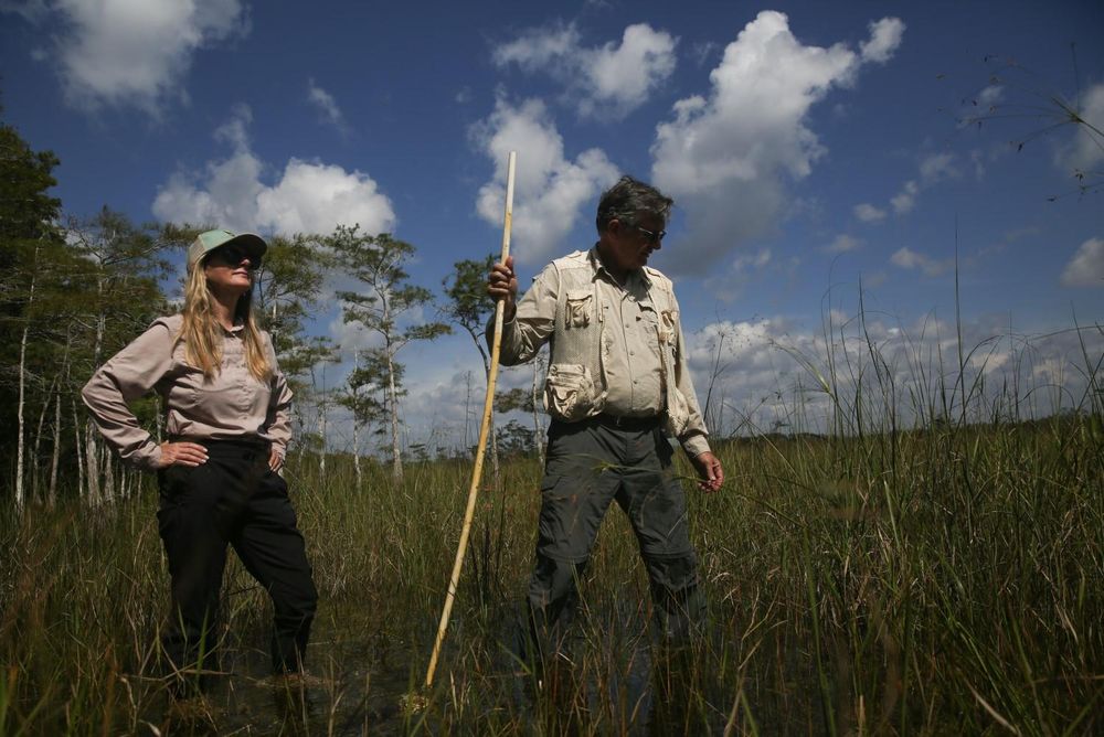 Activists fight to protect Florida's wetlands from Alligator Alcatraz