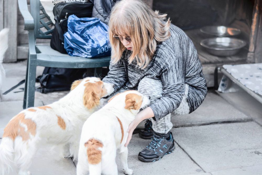 Get up close and paw-sonal to raise funds for Tears
