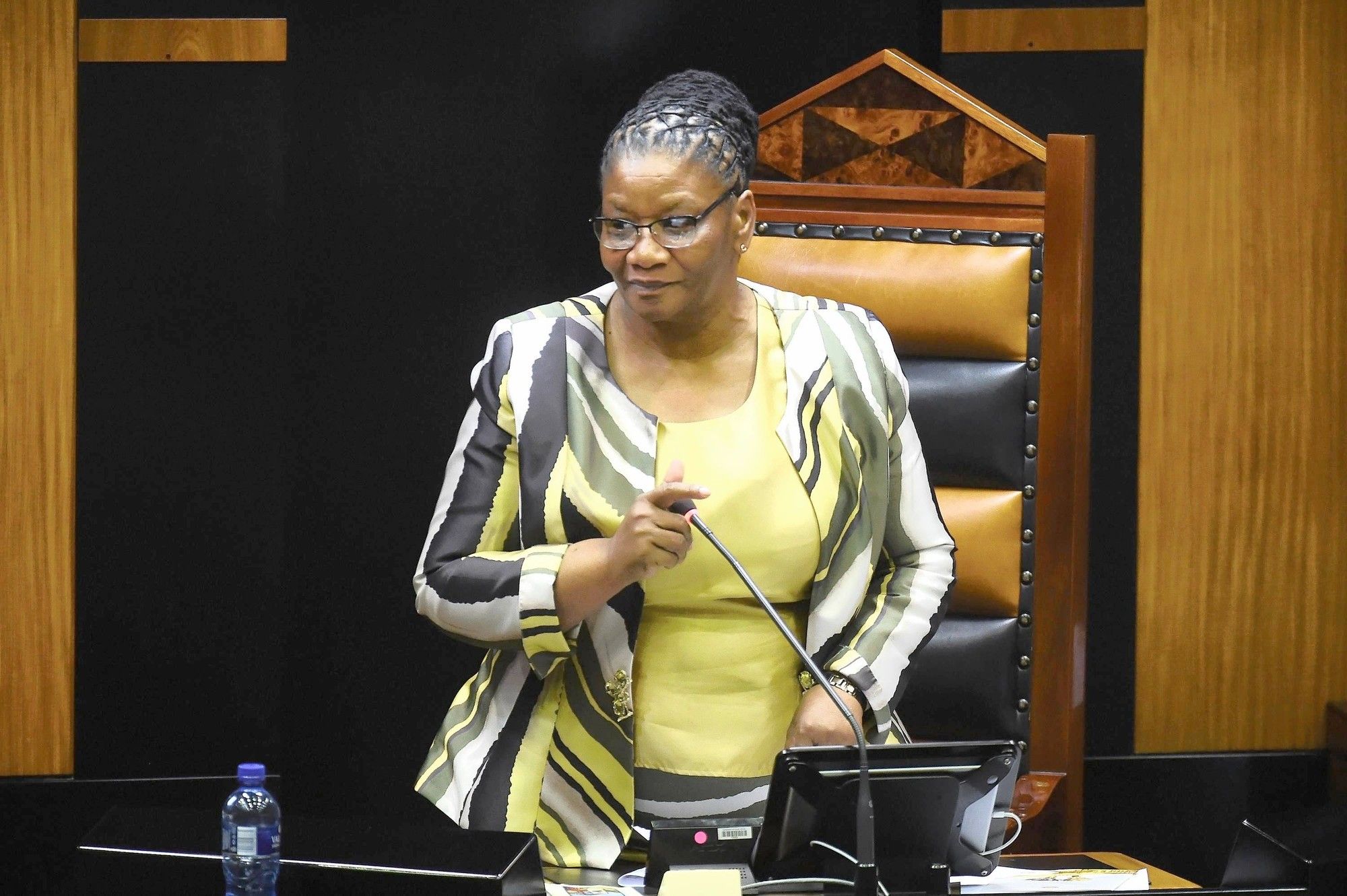 Parliament officers want Springboks to 'bring the cup home'