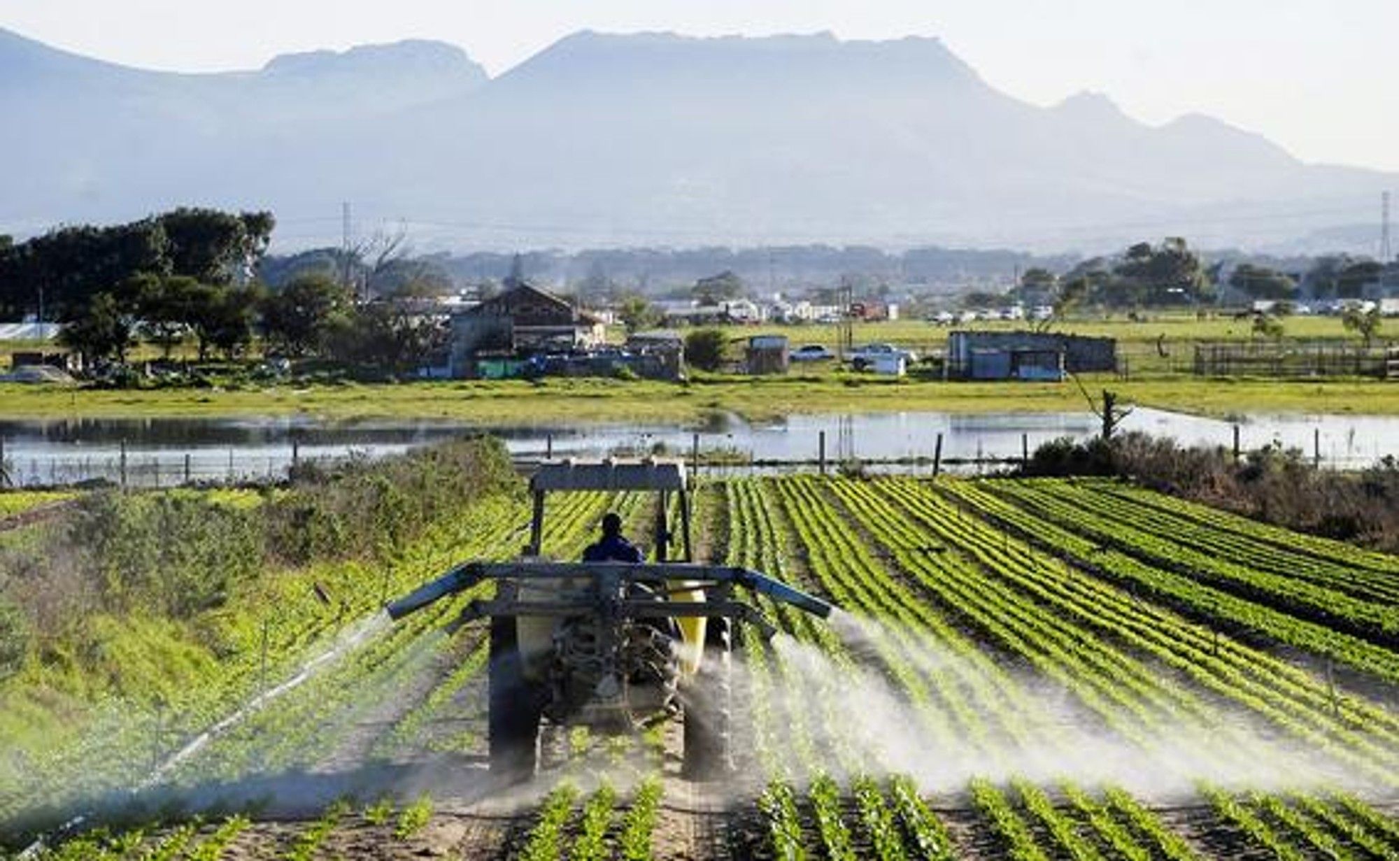 Crimes on farms a threat to agriculture economy - IRR