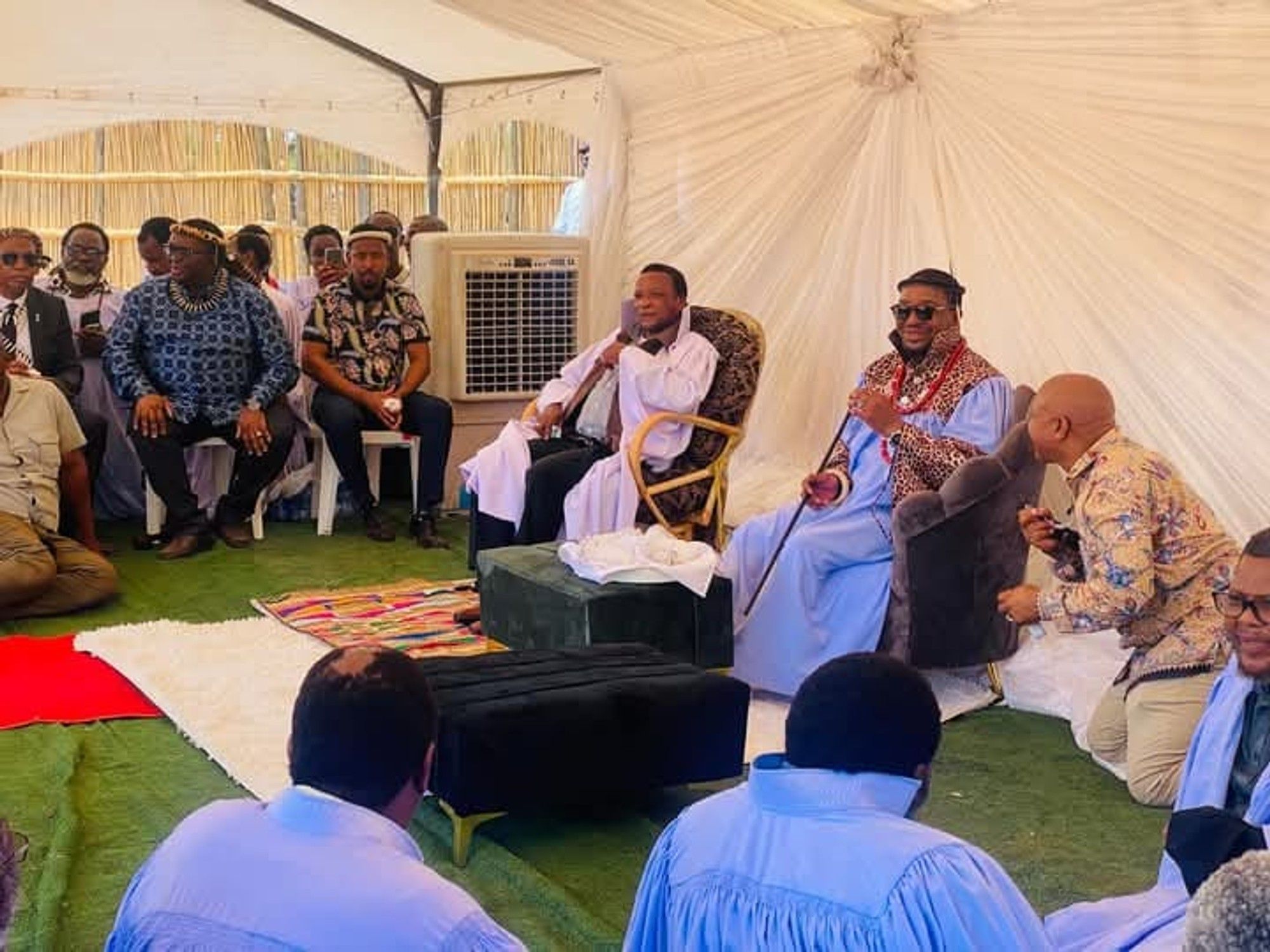 UNyazi lubusise isigodlo esisha seSilo