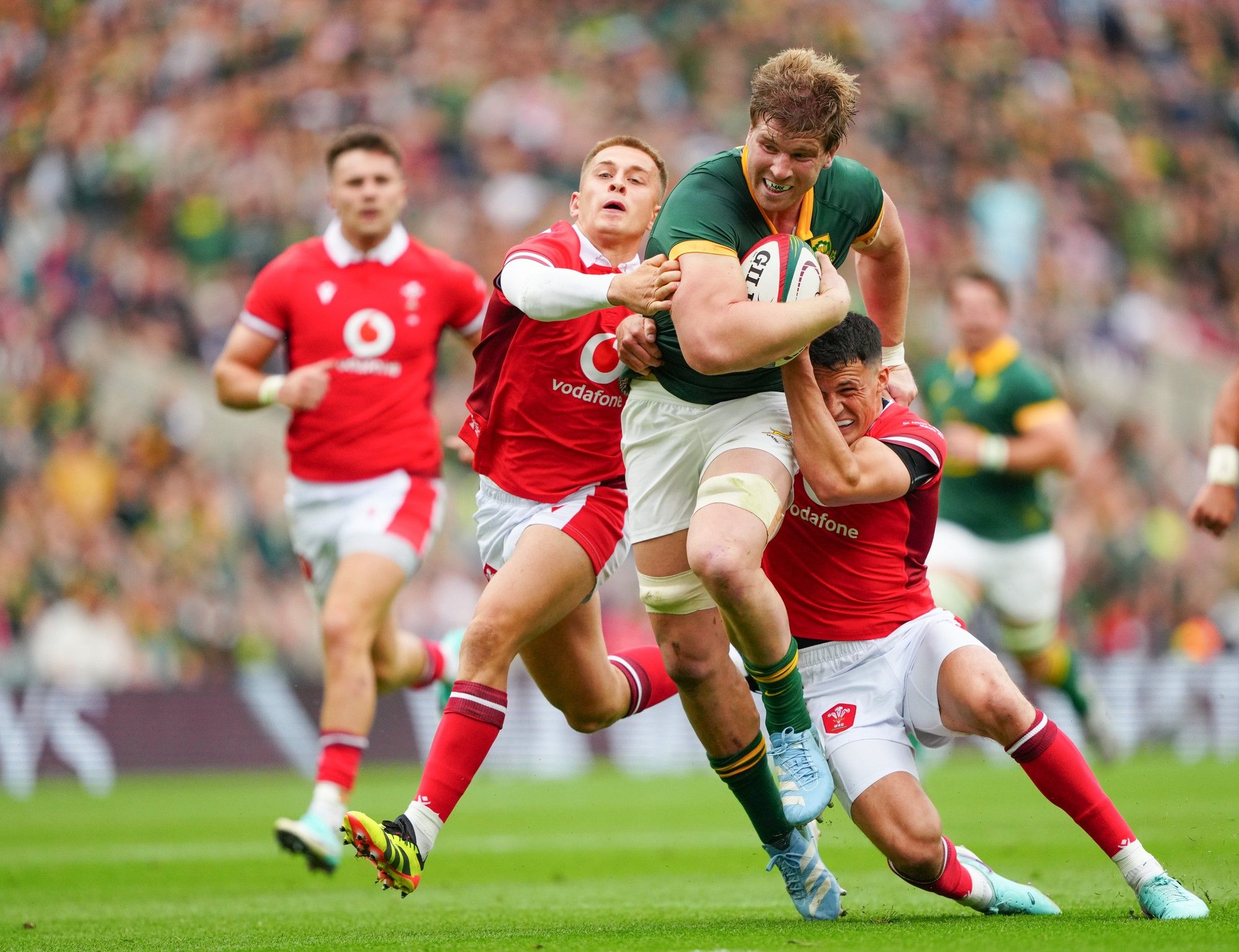 Evan Roos omission risk Springboks didn’t need, Esterhuizen suspended