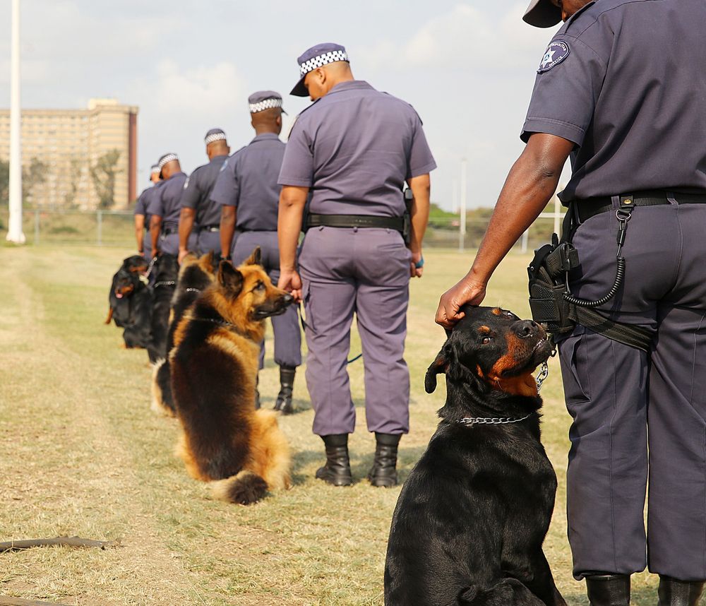 SAPS calls on the public to donate dogs for police work