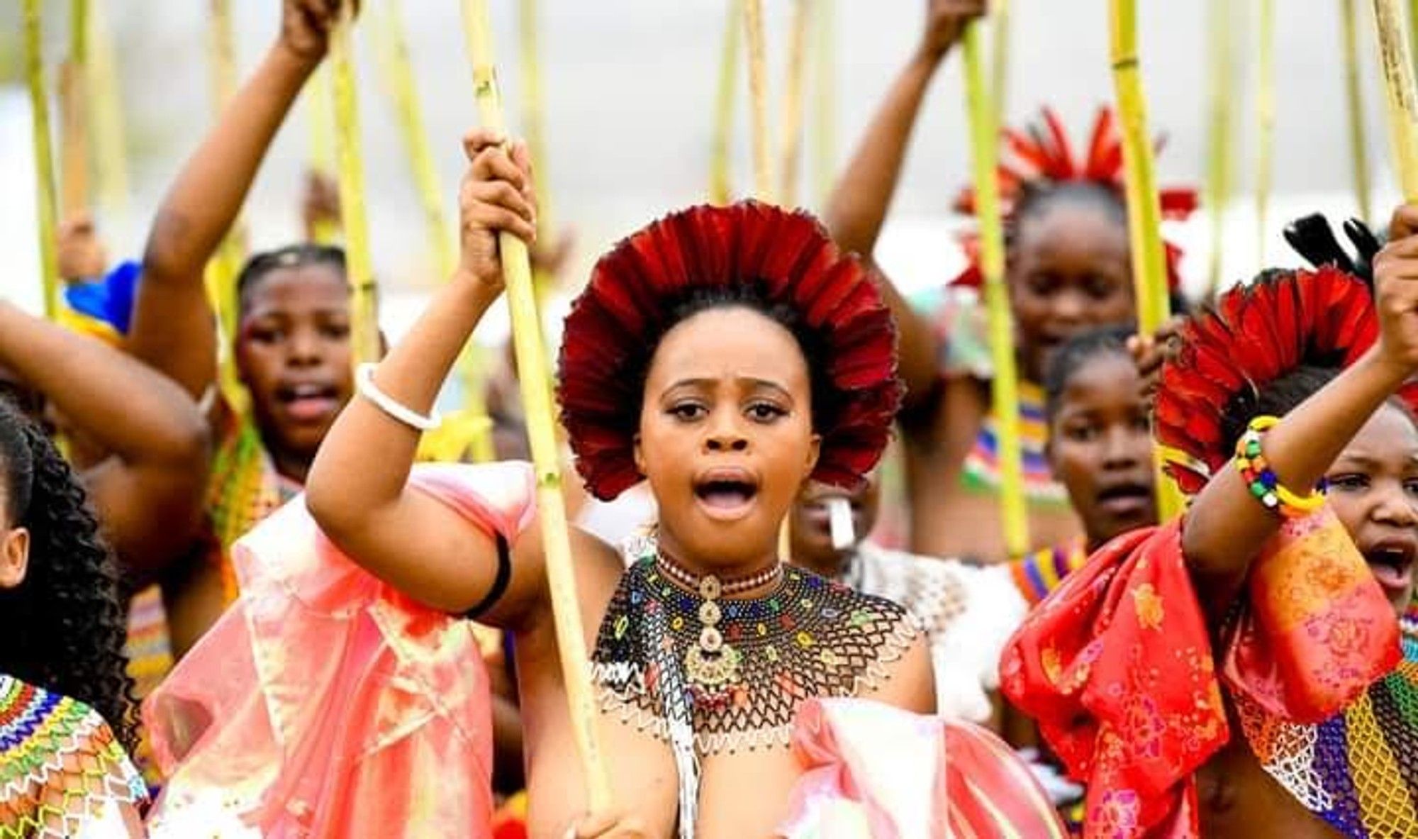 Umkhosi Womhlanga: Zulu Reed dance marks 40 years of purity