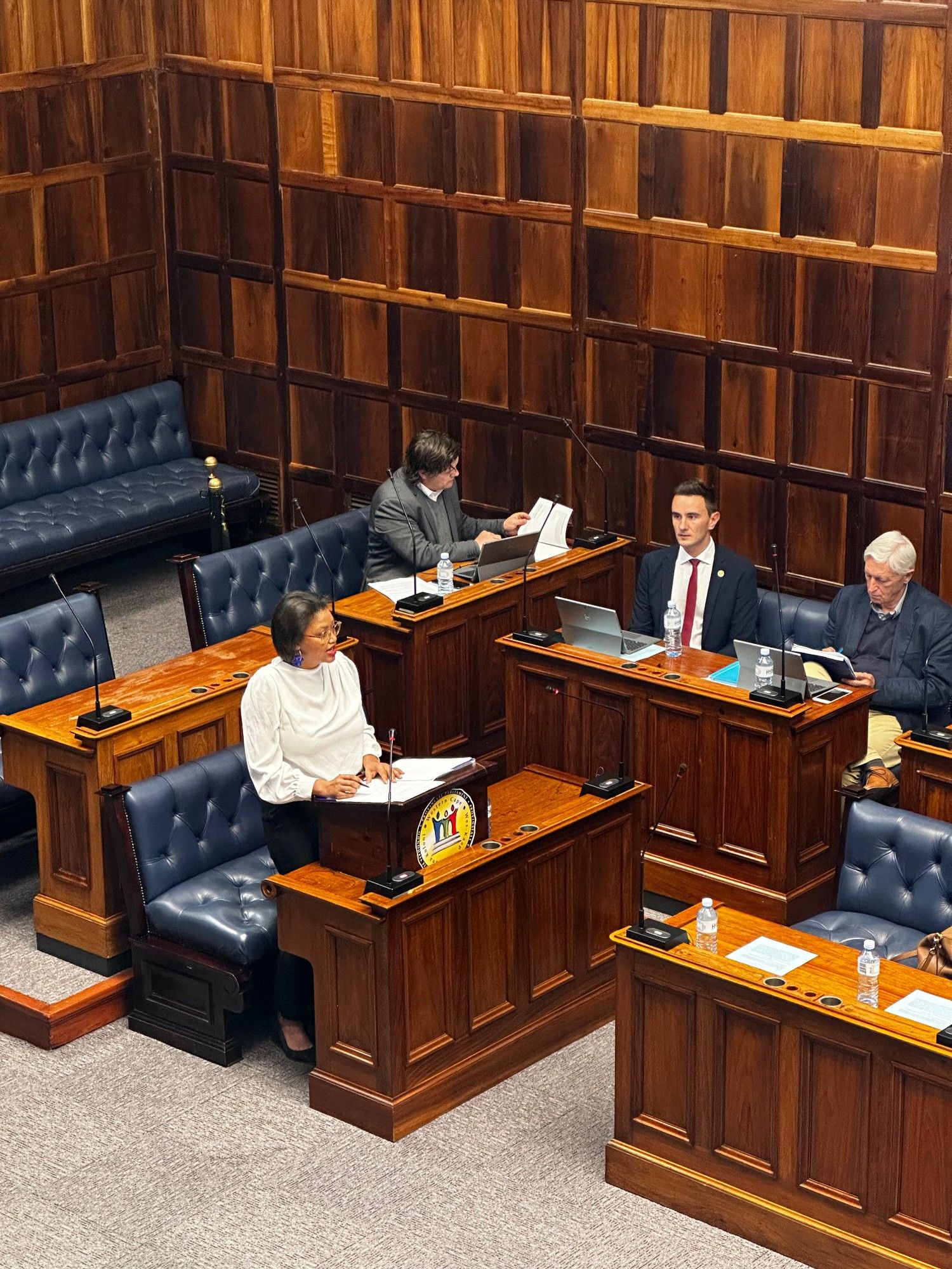 Western Cape Finance MEC ensures stability with R89. 3 billion budget ...