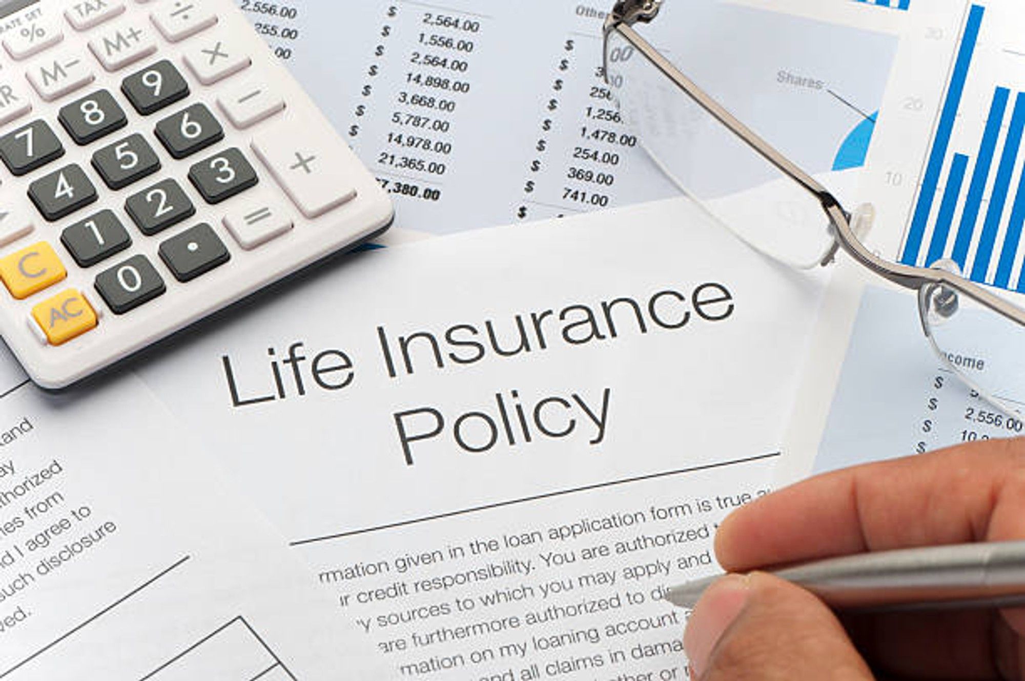 Take a look at the best South African life insurance companies