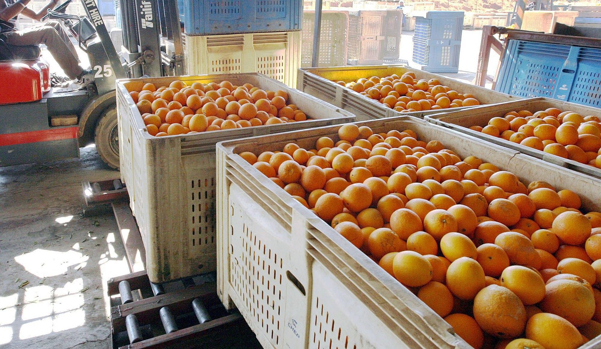 Summit is a pivotal moment for South Africa's citrus industry - CGA