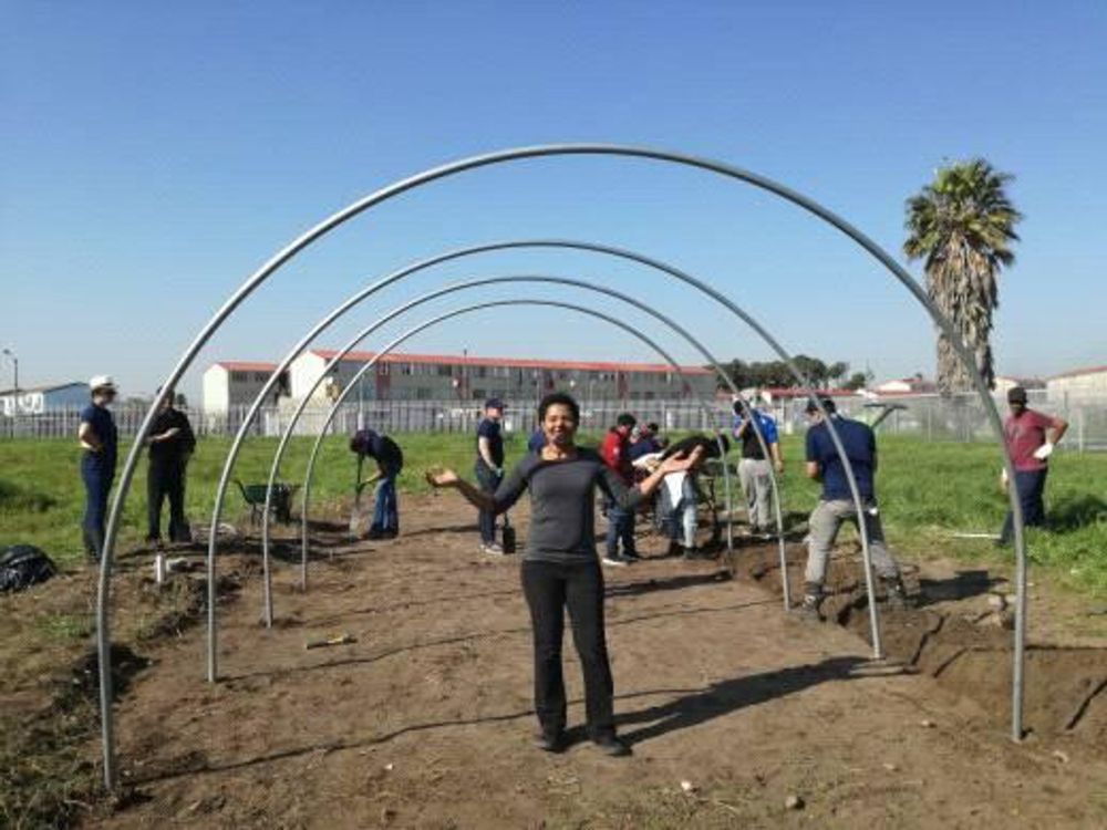 Hanover Park nursery owner thinking ‘out of the box’ to feed a family