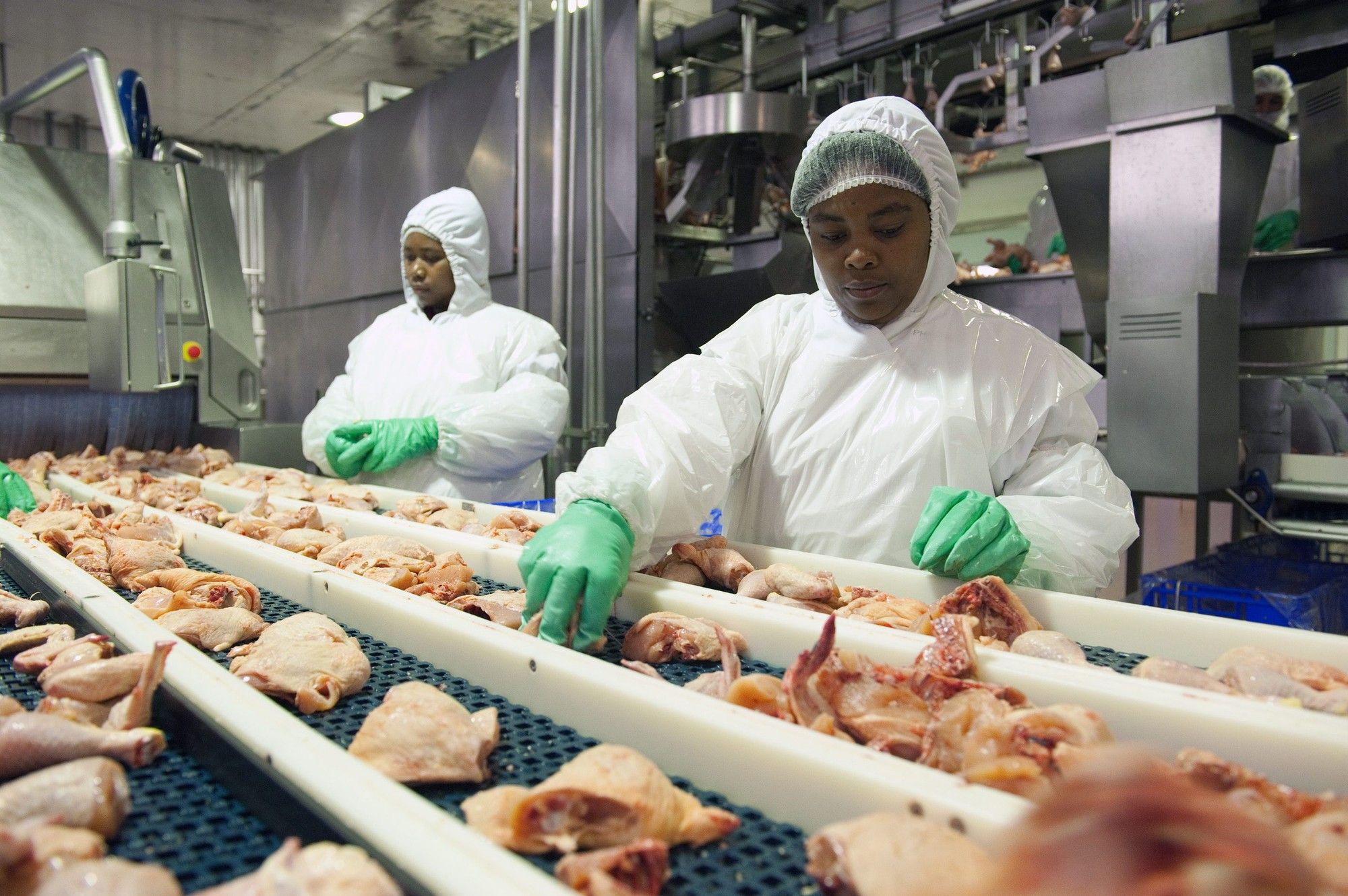 Astral Foods backs Competition Commission’s poultry market inquiry