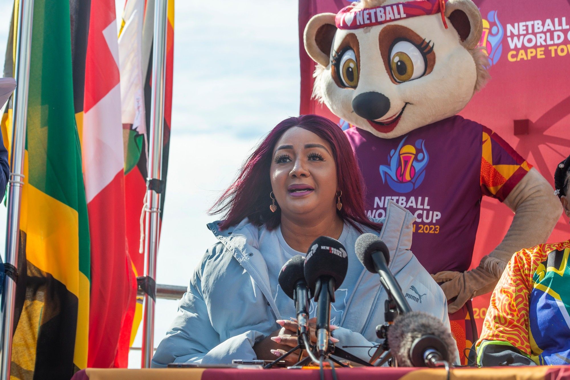 Parliament rips into Netball SA, Molokwane in picture of systemic ...