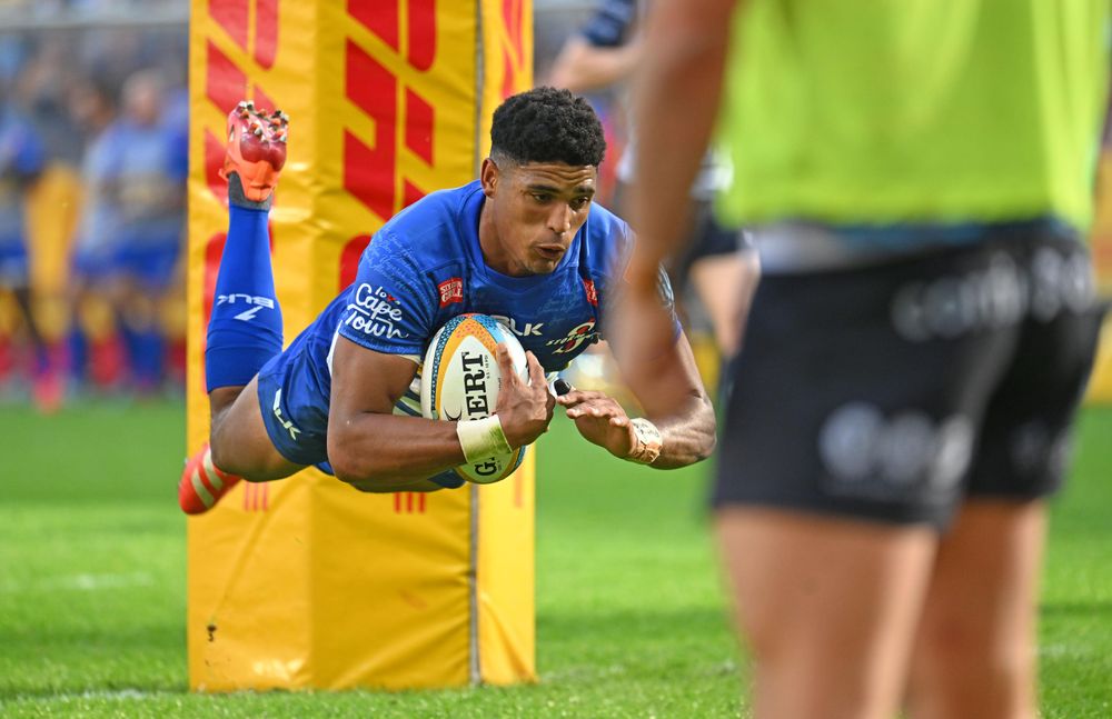 Why Sacha Feinberg-Mngomezulu is such a cheat code for the Springboks