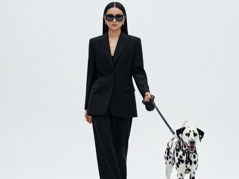 Rescue dogs become runway stars at Cape Town’s Re-Loved Fashion Show