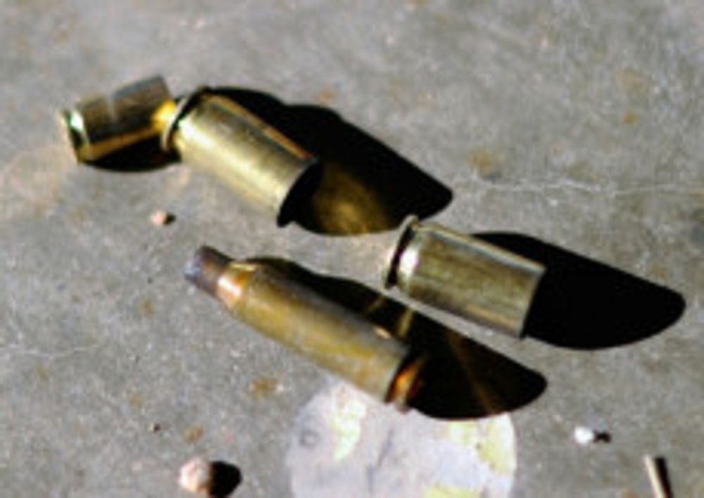 Brotherhood pair killed in Nile Delta