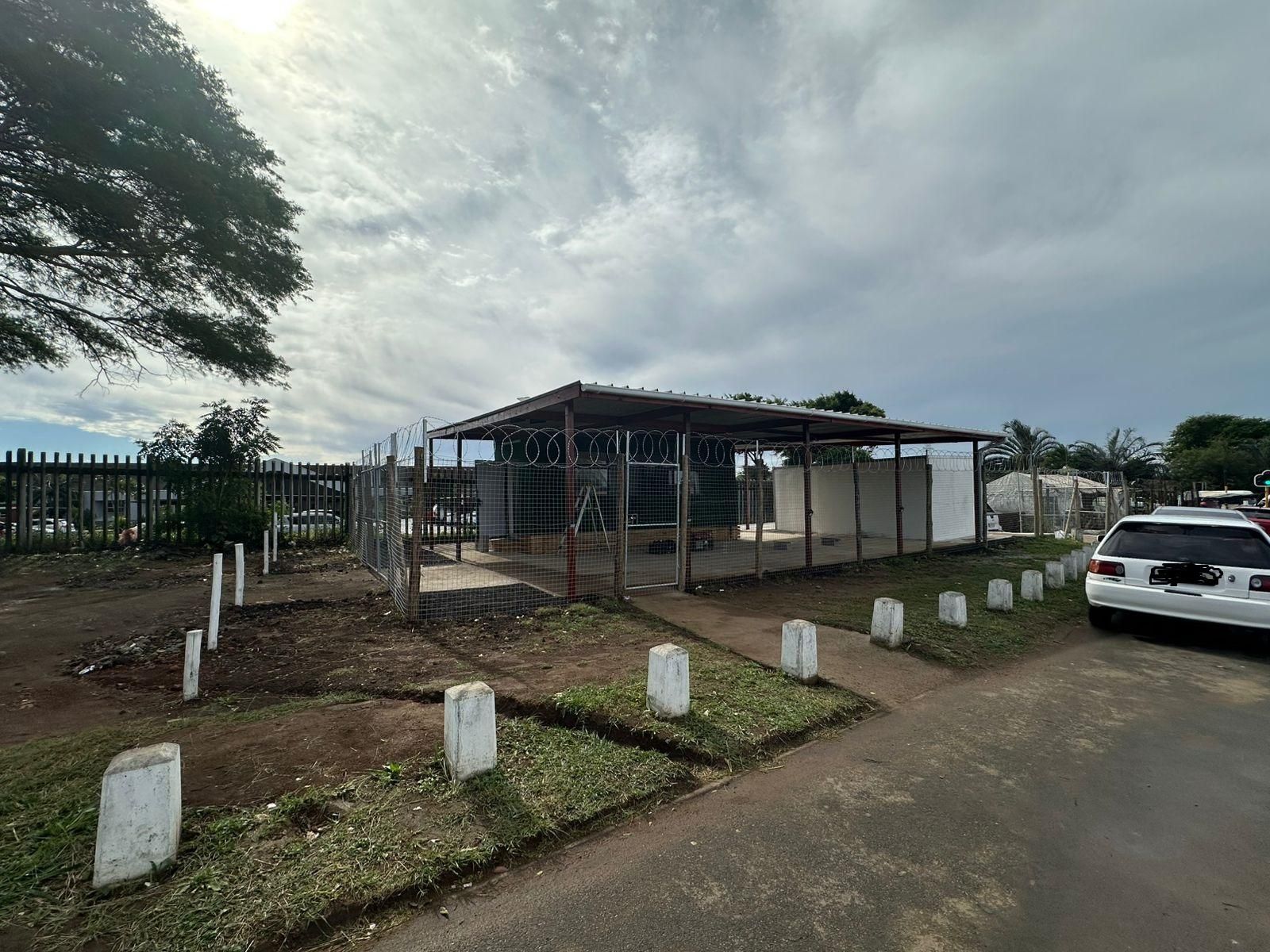 Investigation launched into Phoenix businessman for allegedly using ...