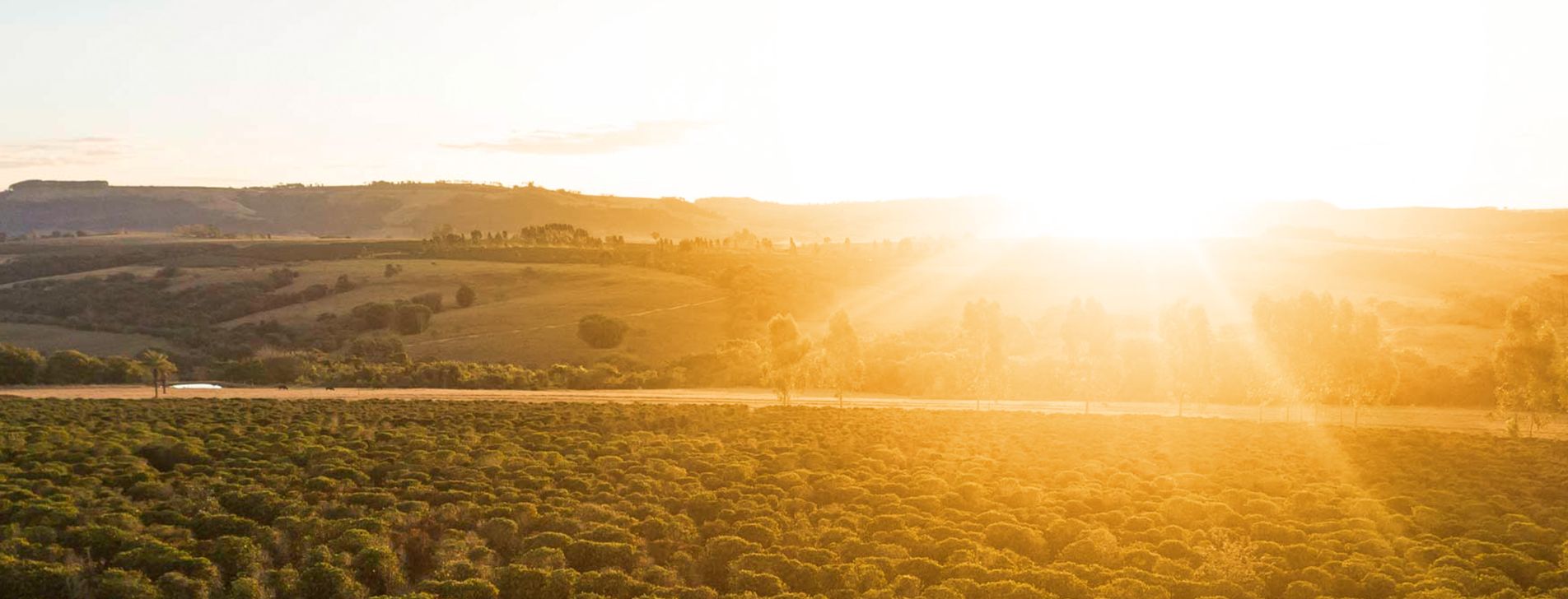 Jacobs saves 3,000 tons of glass and targets 100% responsibly sourced ...