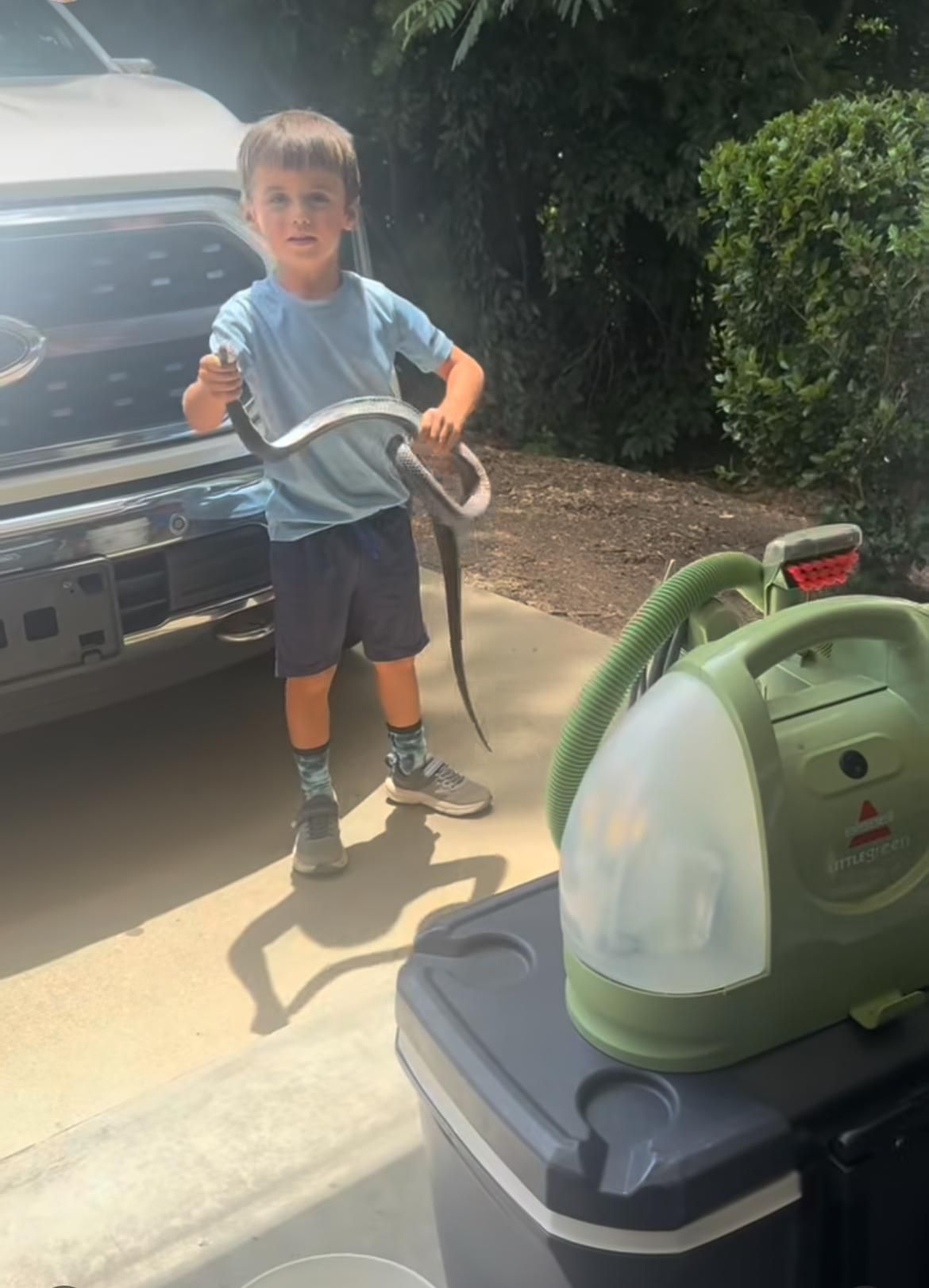 Meet Harrison: the fearless boy who went viral for wrangling a snake