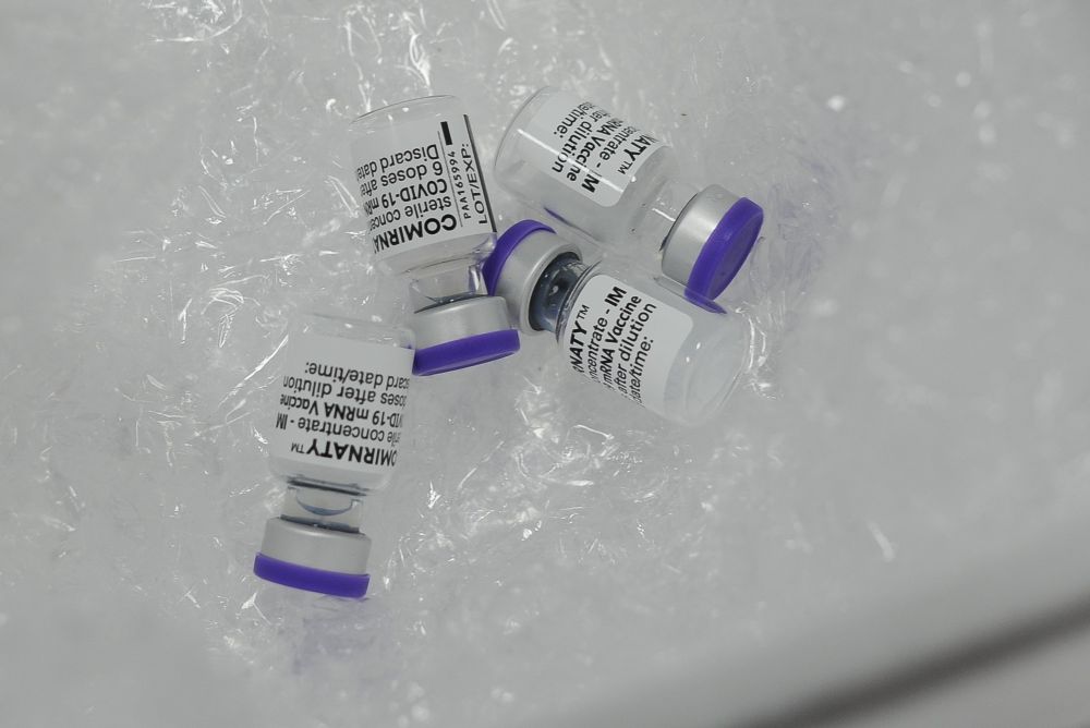 Medicine regulator will not succumb to political pressure or sacrifice ...