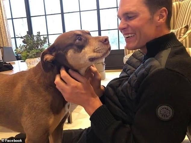 Tom Brady clones family pet who died in 2023