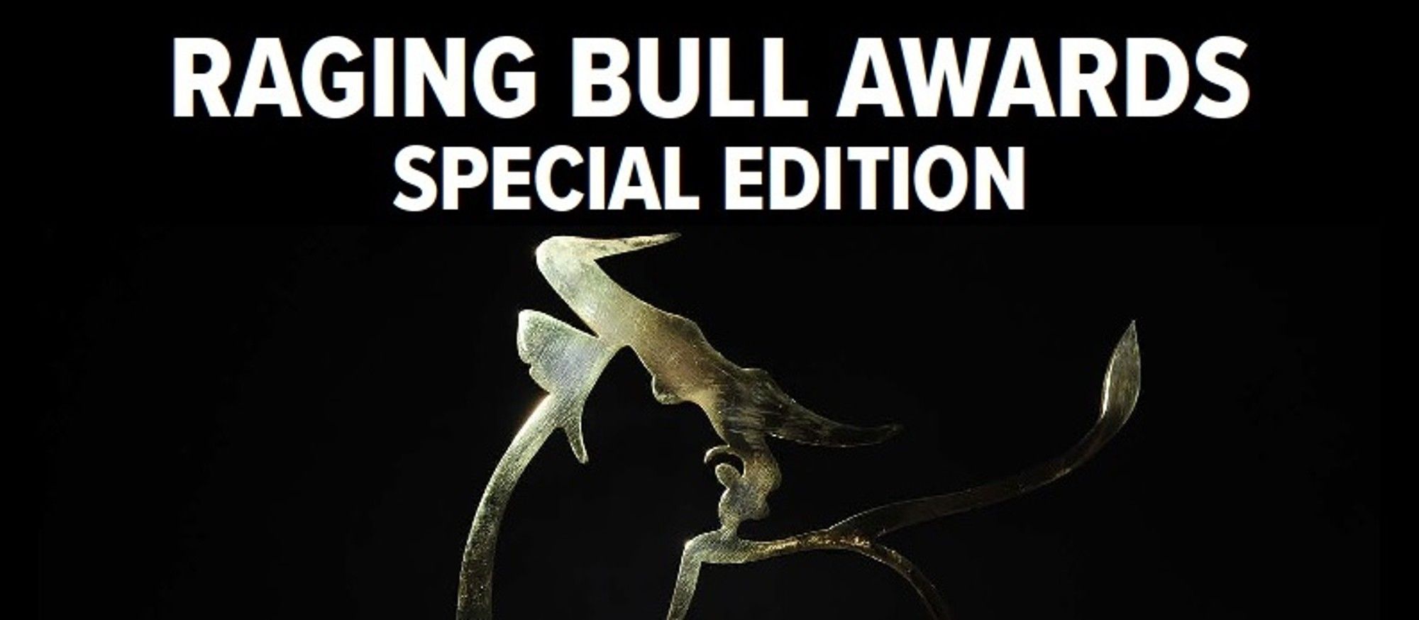 Raging Bull Awards: special supplement this weekend