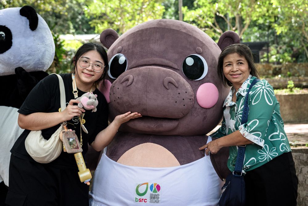 Moo Deng celebrates her first birthday as Thailand's viral pygmy hippo