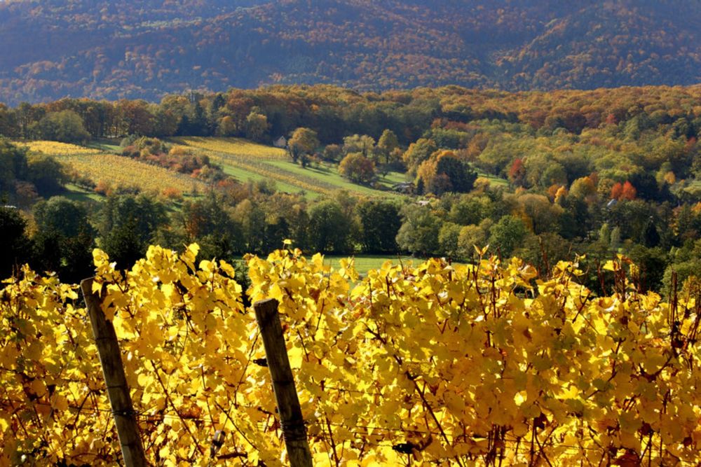 Global climate deal is vital