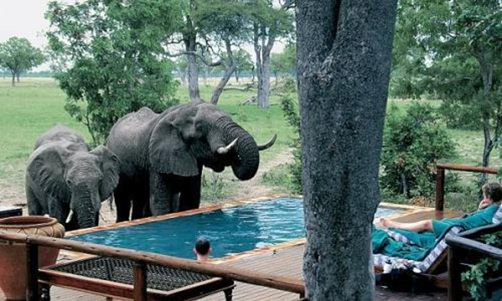 Tourists flocking back to Zimbabwe
