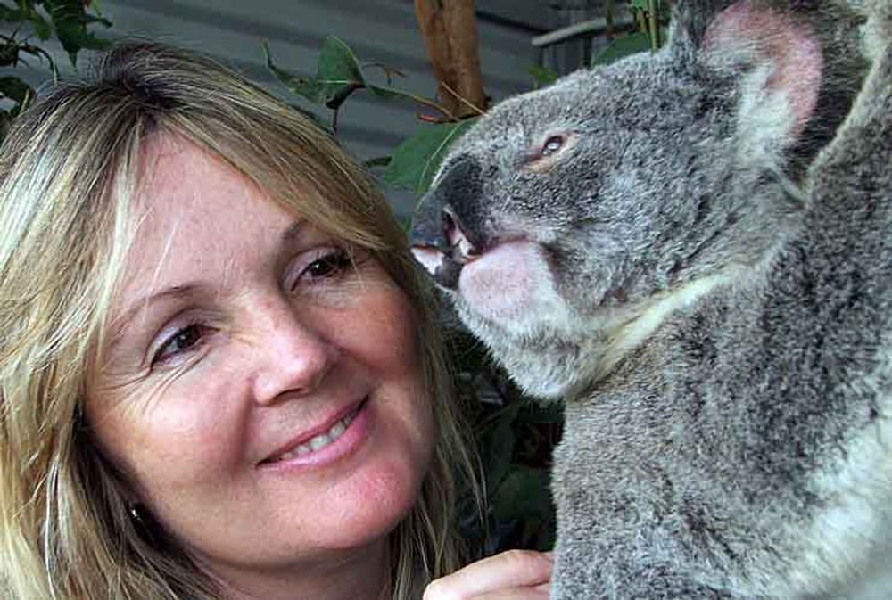Lightly grilled koala no bonnet ornament