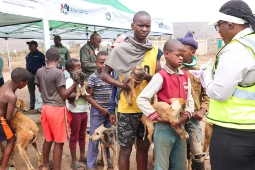 11th human rabies patient dies in SA – NICD