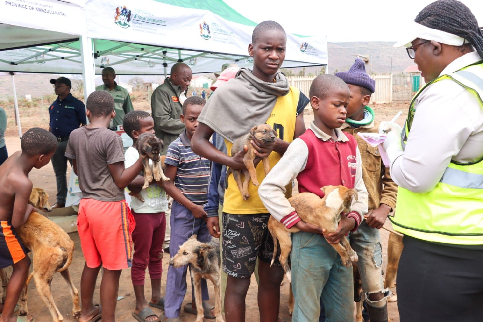 11th human rabies patient dies in SA – NICD