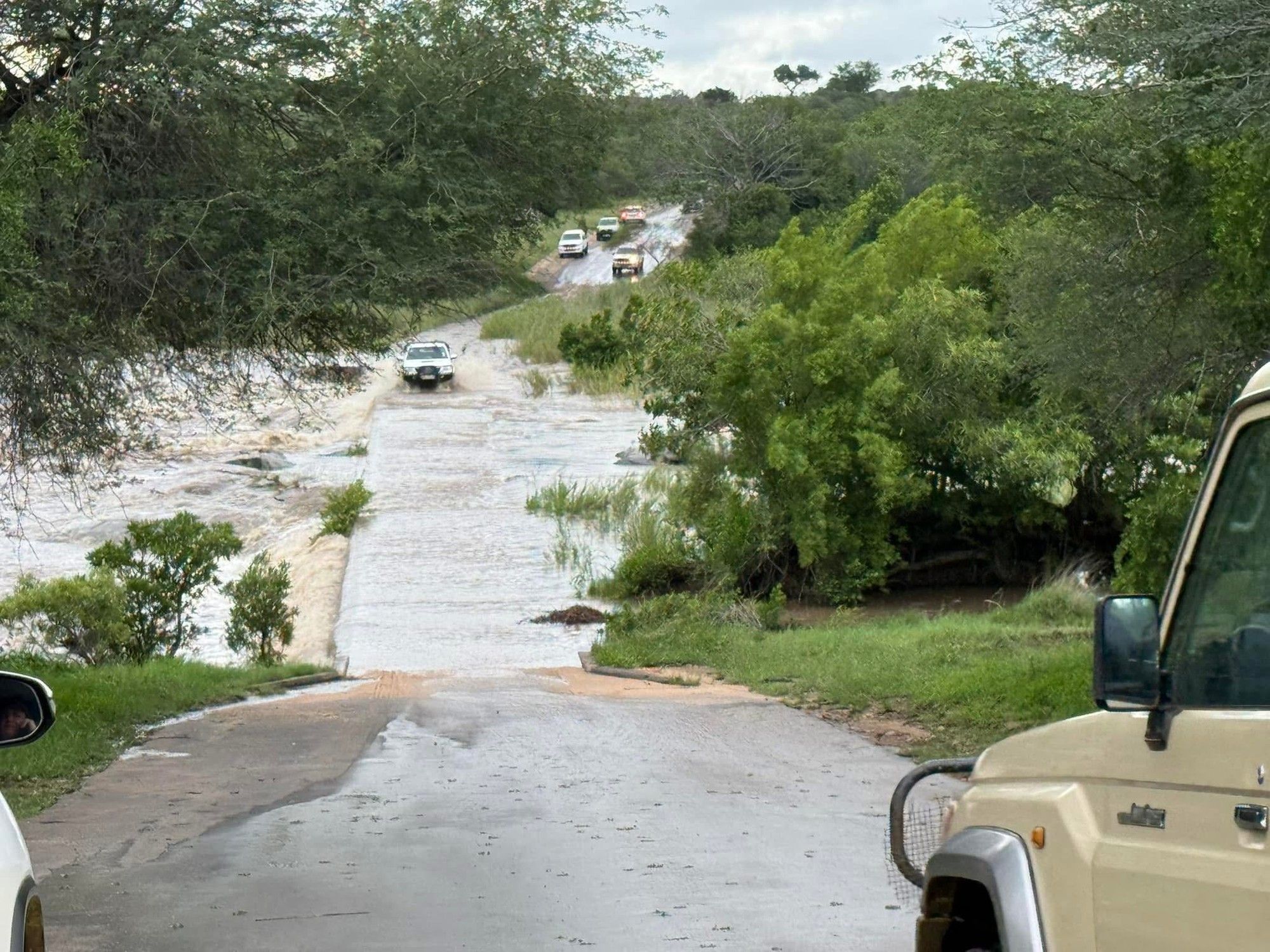 Flooding in Kruger National Park: what visitors need to know