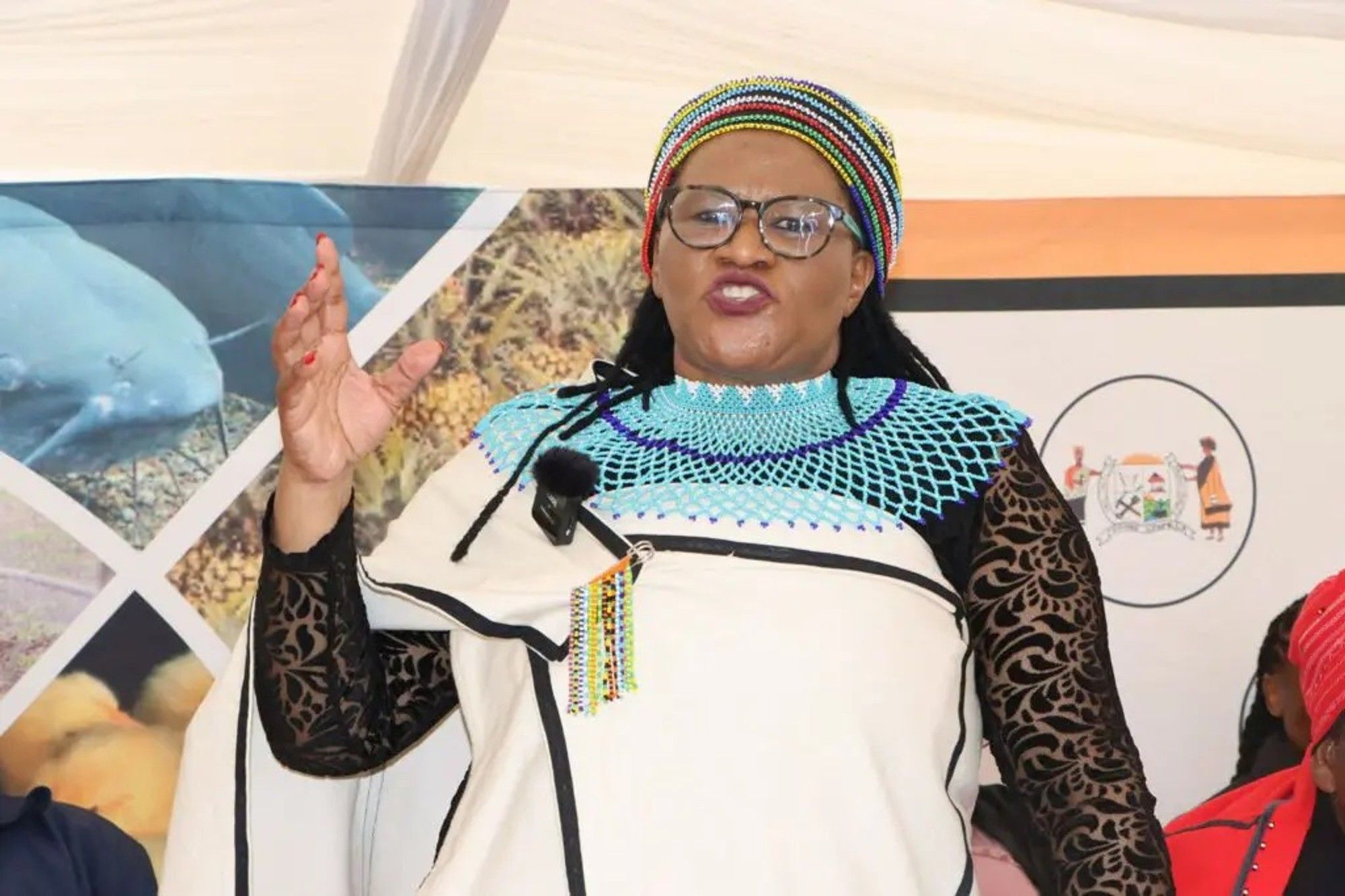 Kuqaliswa ukutyala umbona kwaDalasile