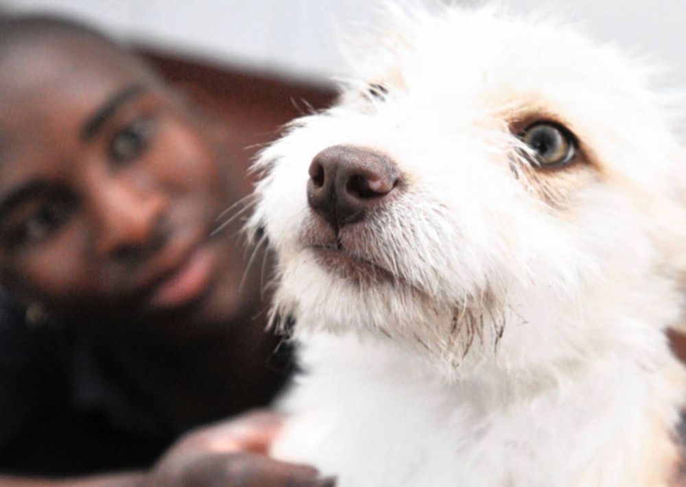 Why your dog is your best friend ‘furever’