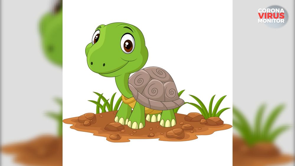 DIY Crafts for Kids: Egg Carton Turtles