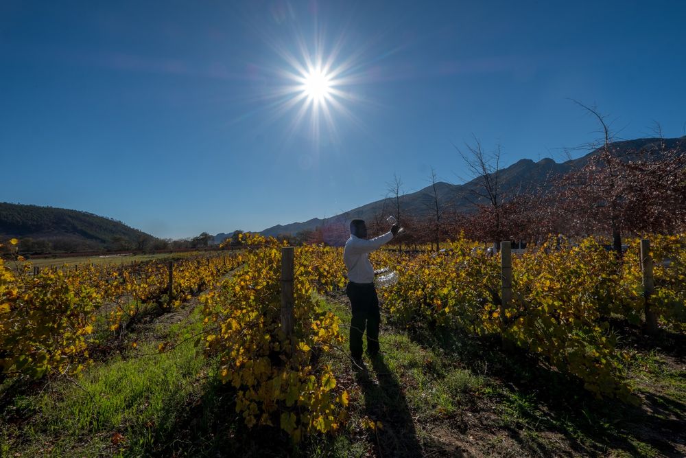 Wine, Food paradise... get hooked!!