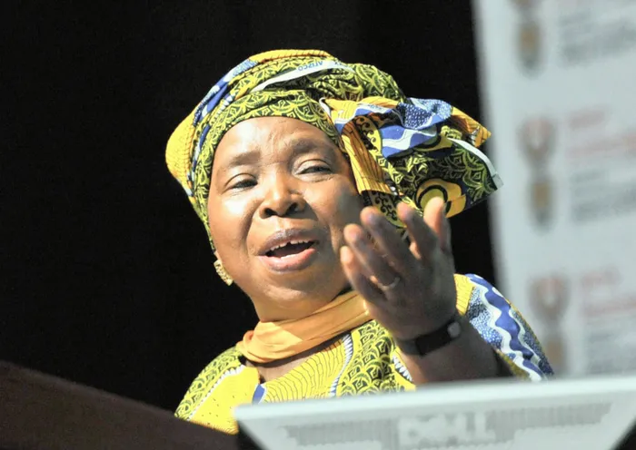 ANCYL rebuked over Dlamini-Zuma comments