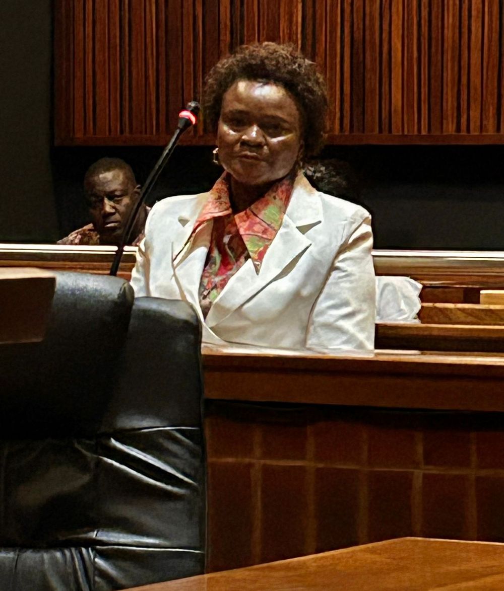 Former SAA board member Yakhe Kwinana granted R20,000 bail