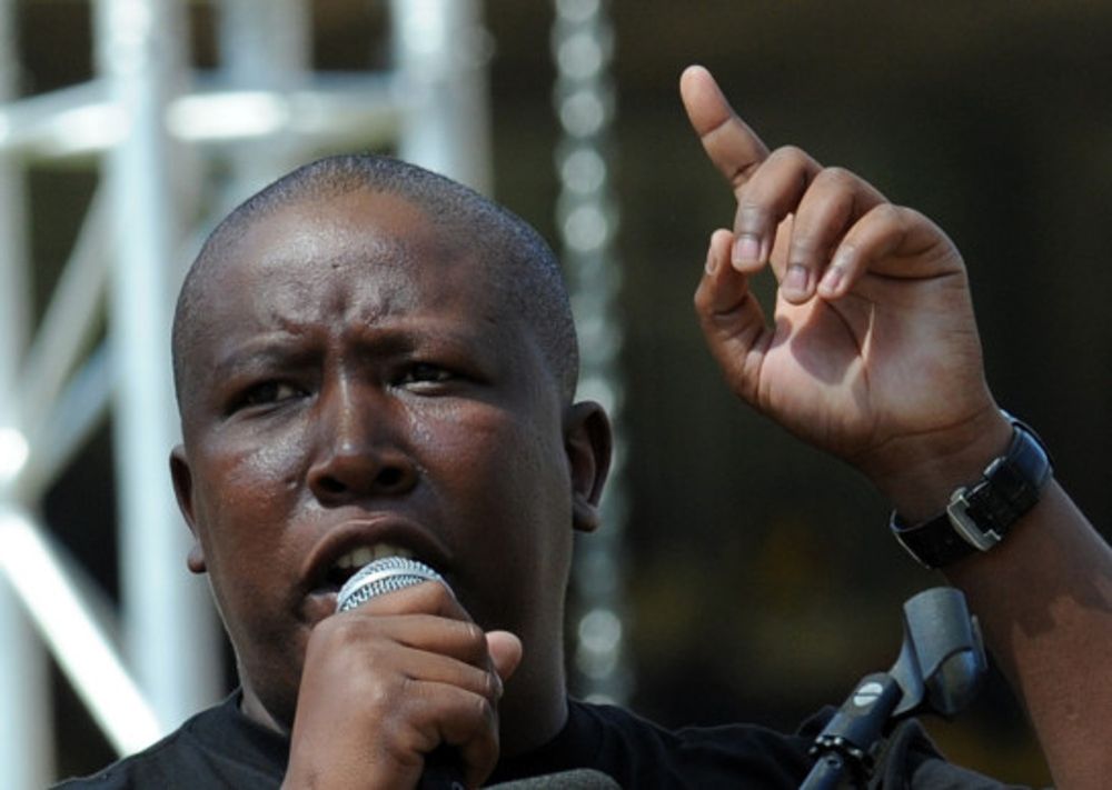 ‘Malema allegedly linked to Limpopo tenders’