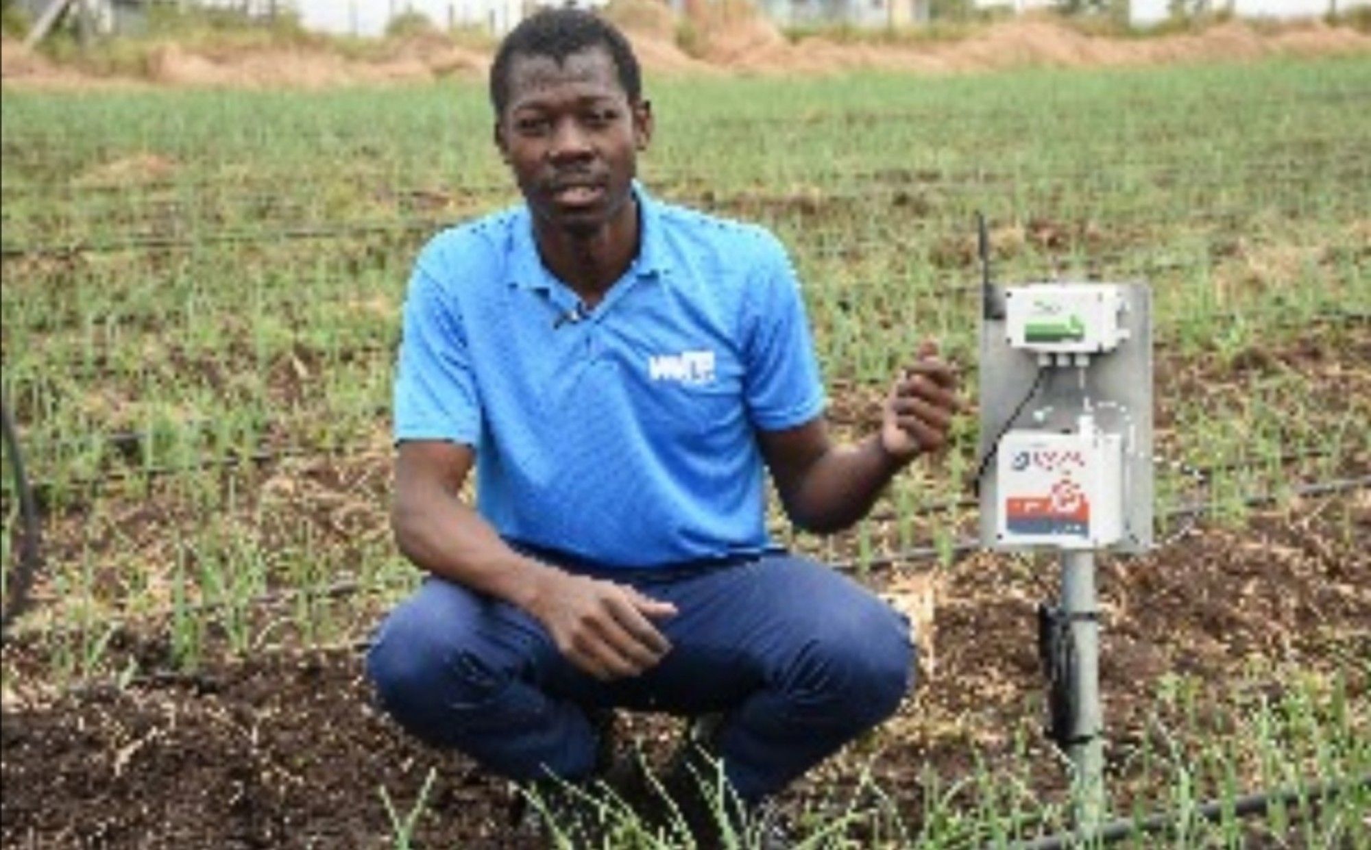 Liquid Telecom partners with Twiga Foods to accelerate agricultural ...