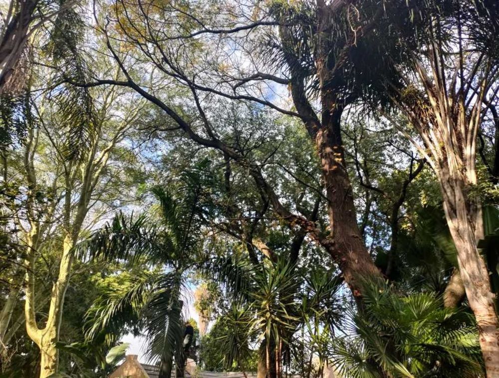 When going green really becomes ridiculous