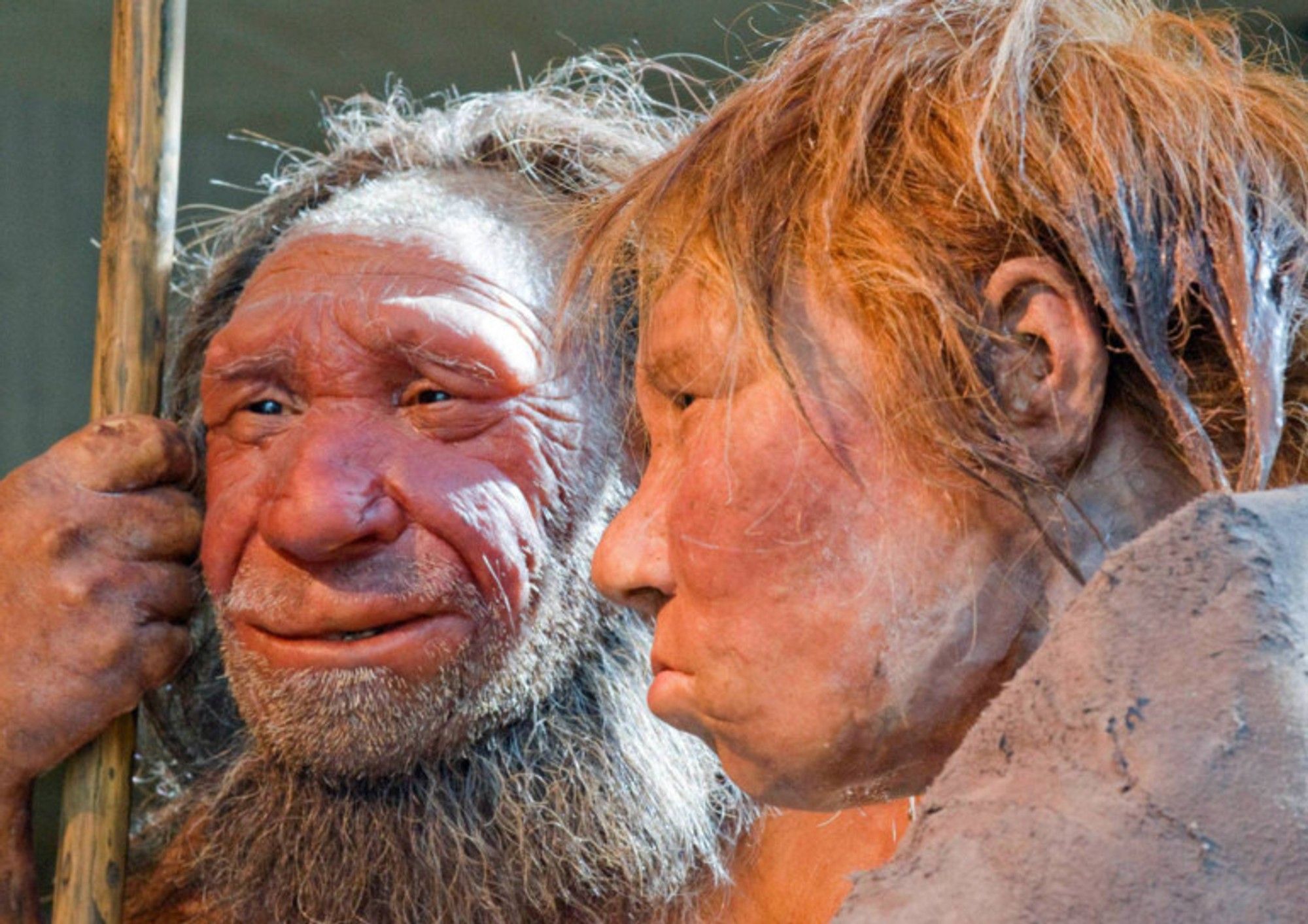 Caves show off Neanderthal skills
