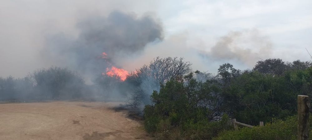 Aerial support deployed to douse George veldfire