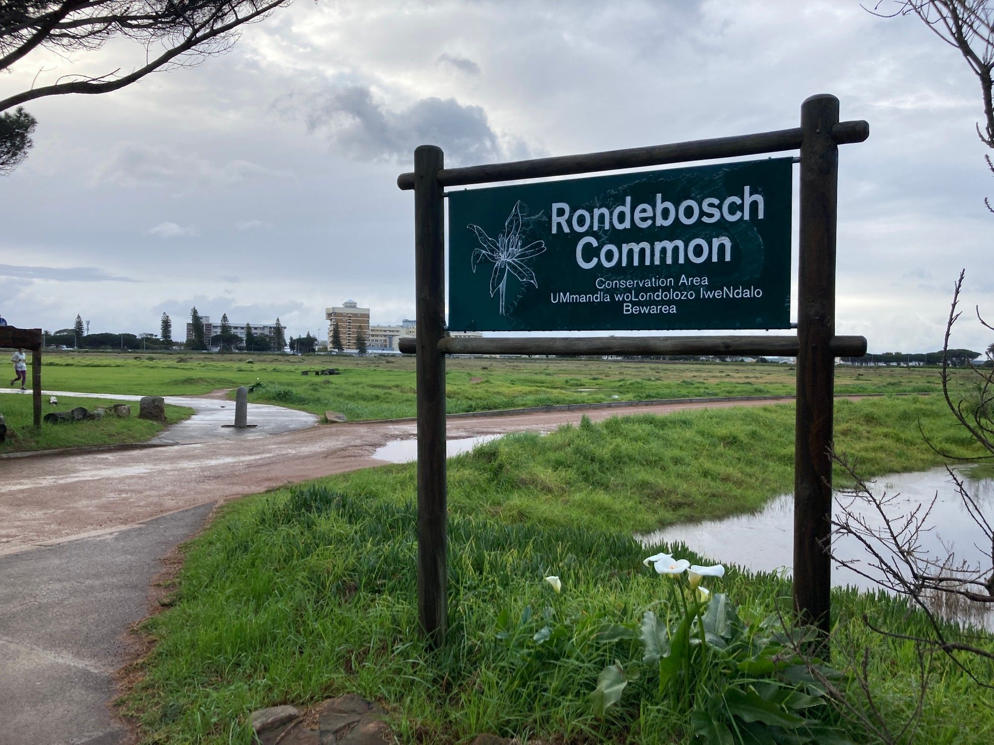Police warn about safety on Rondebosch Common