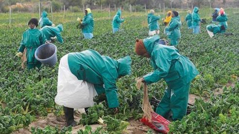 High number of human rights complaints in province red-flagged